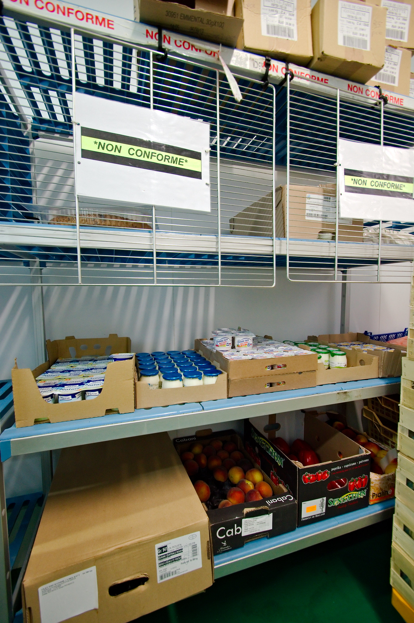 Comment choisir une chambre froide